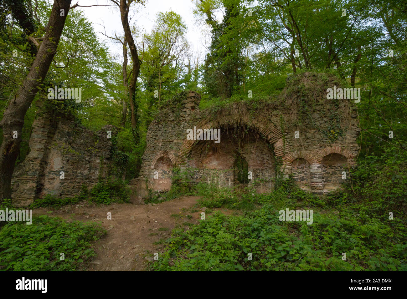 Ruins of a church in the forest in Istanbul Stock Photo - Alamy