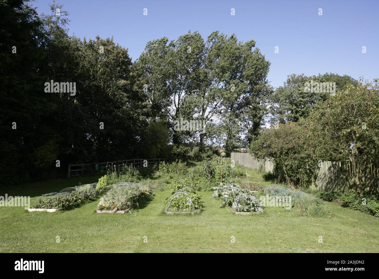 Vegetable Allotment Plot in Old Georgian Manor House Garden Stock Photo ...