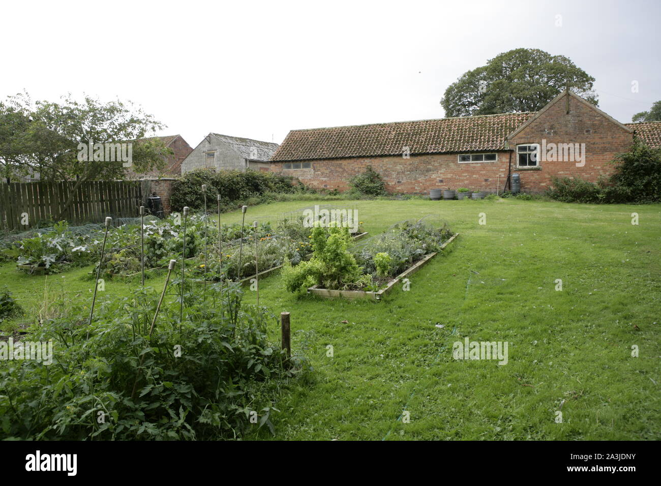 Vegetable Allotment Plot in Old Georgian Manor House Garden Stock Photo ...