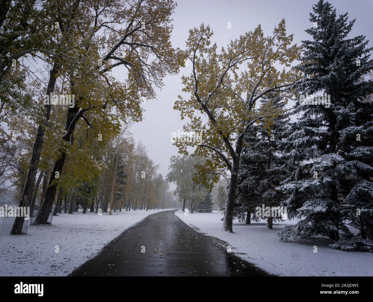 Bowness Park Calgary Alberta Stock Photo - Alamy