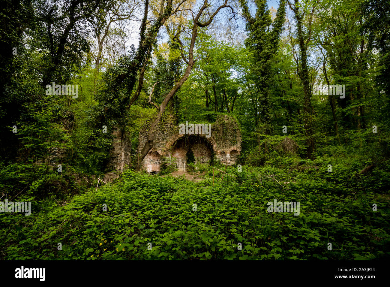 Church ruins istanbul hi-res stock photography and images - Alamy