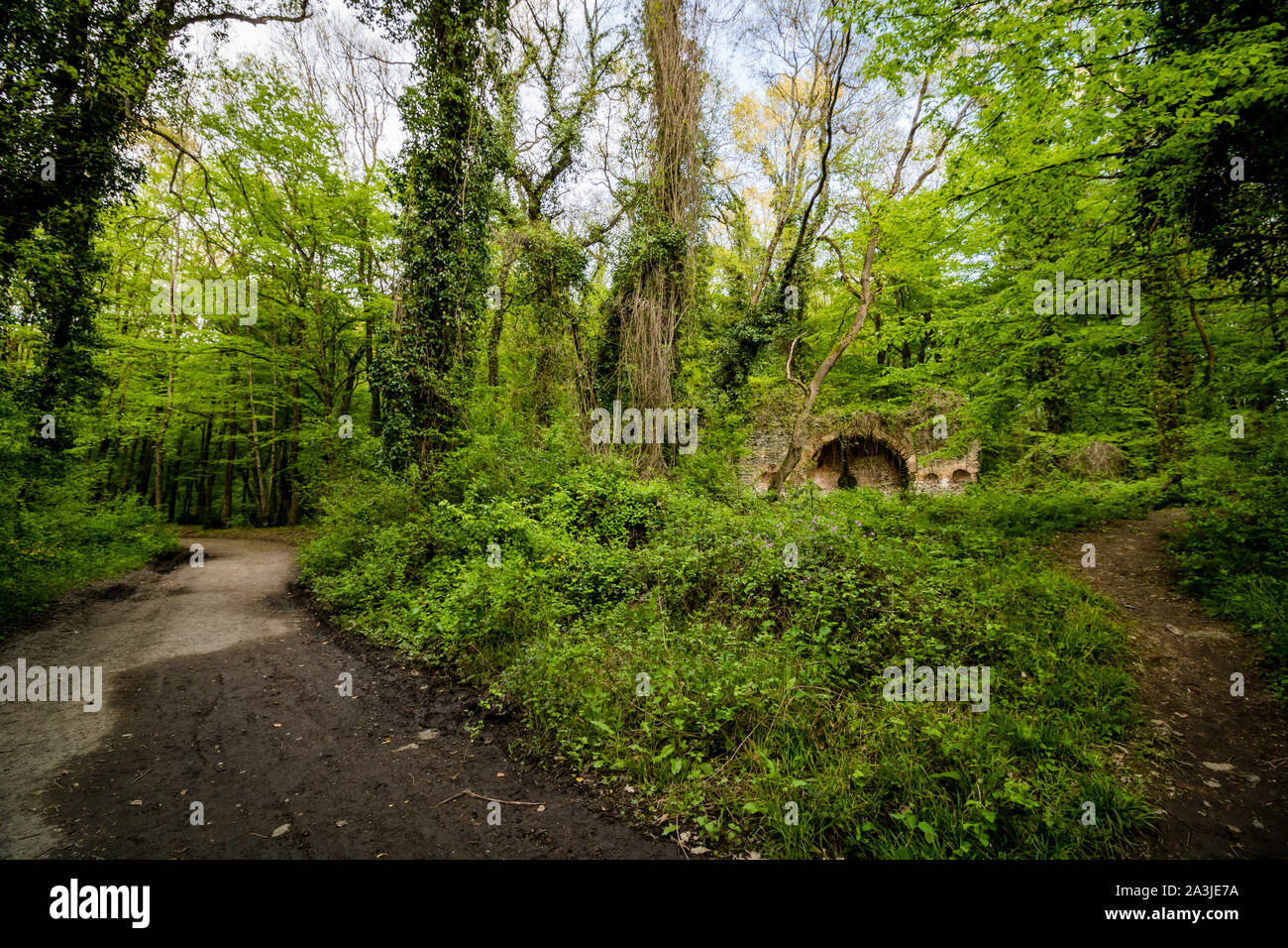 Church ruin landscapes hi-res stock photography and images - Alamy