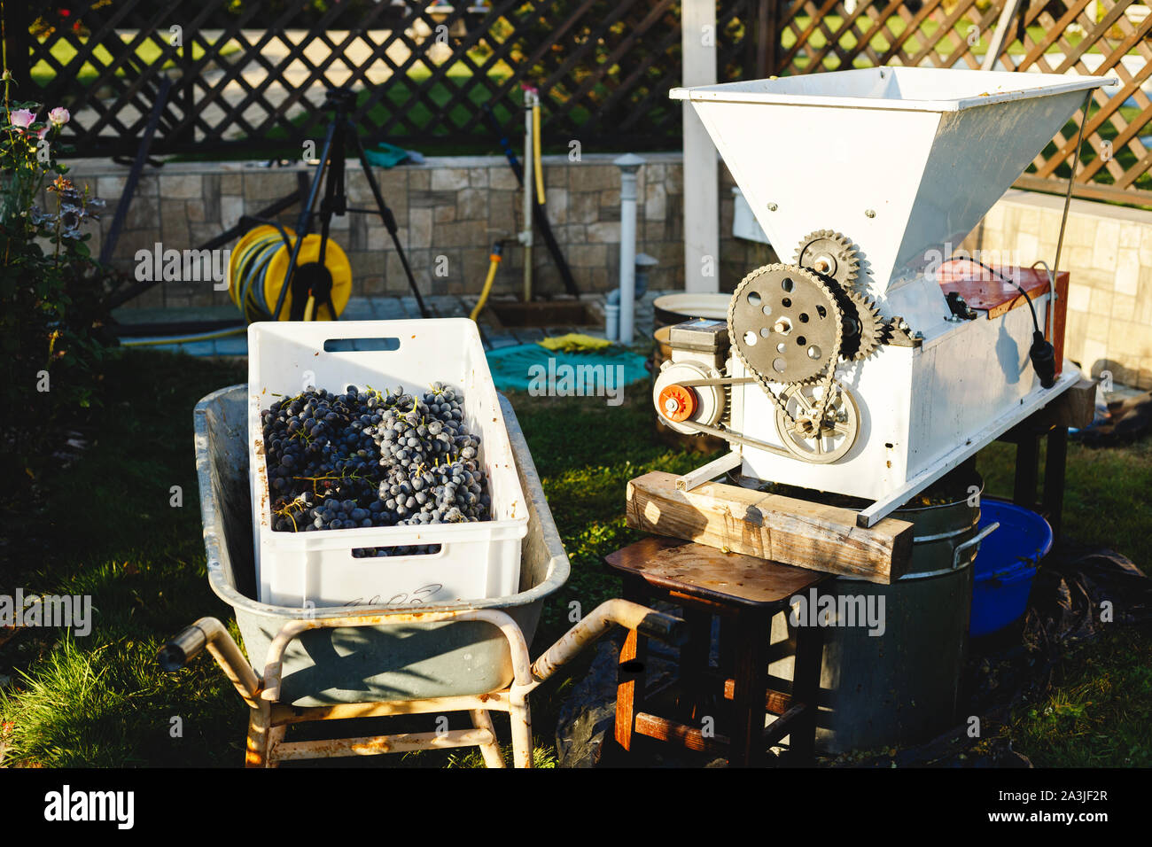 Wine making process hi-res stock photography and images - Alamy