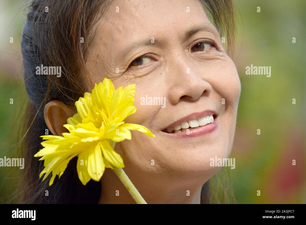 Female Gramma Flower High Resolution Stock Photography and Images - Alamy