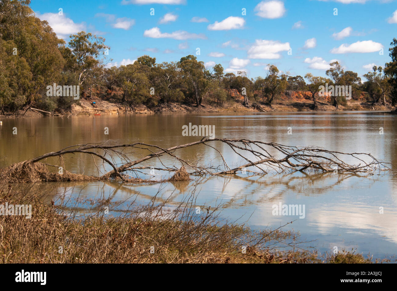 Murray River near Boundary Bend, northwest Victoria, Australia Stock ...