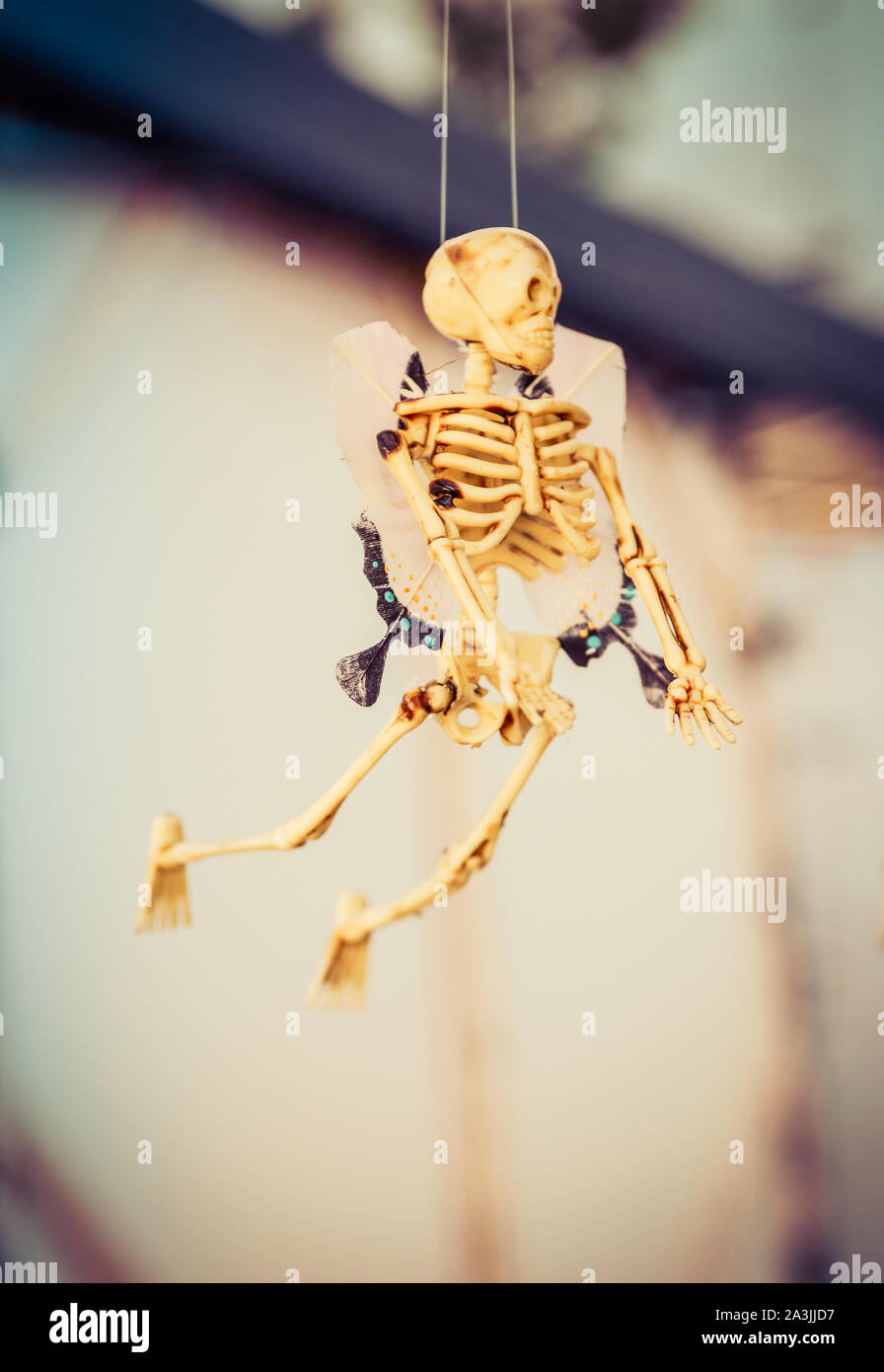 Scary skelton hi-res stock photography and images - Alamy