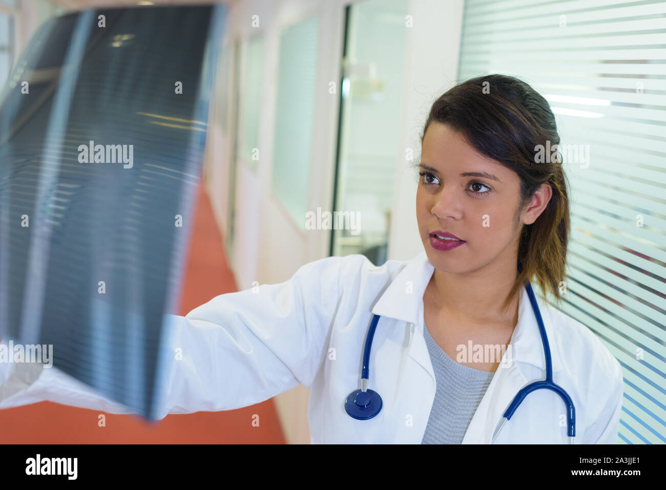 female doctor examining a radiography Stock Photo - Alamy