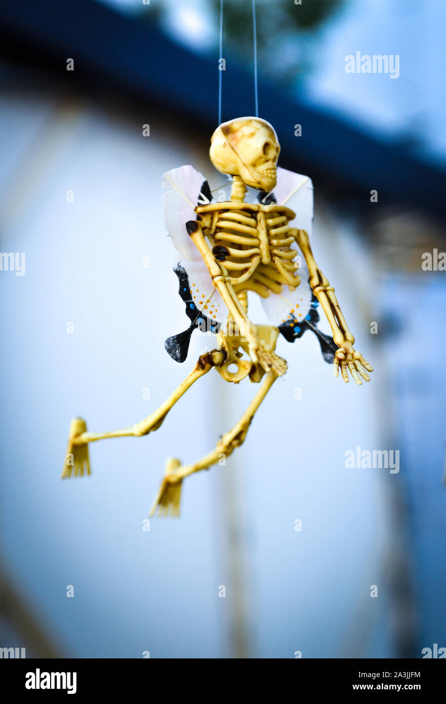 Skeleton with wings hi-res stock photography and images - Alamy