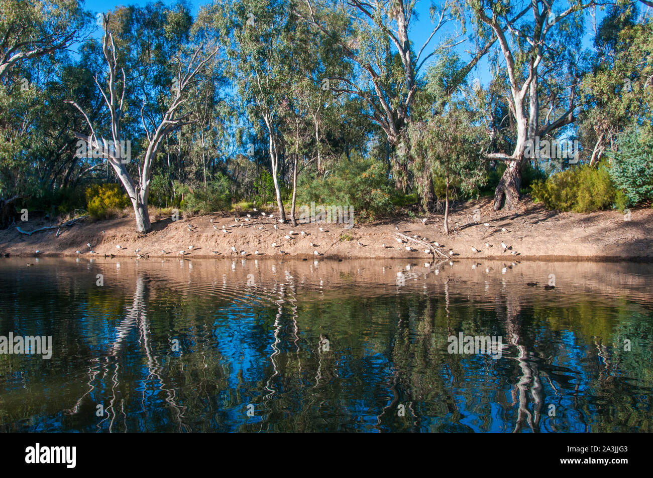 Campaspe hi-res stock photography and images - Alamy