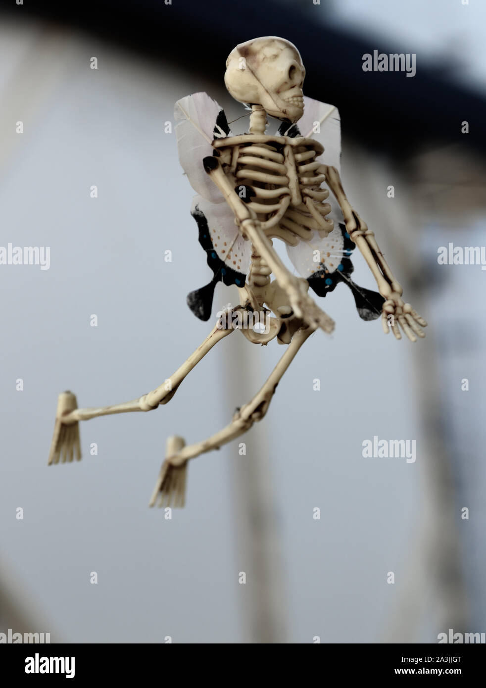 A strange little skeleton art ornament with wings hangs in space Stock ...