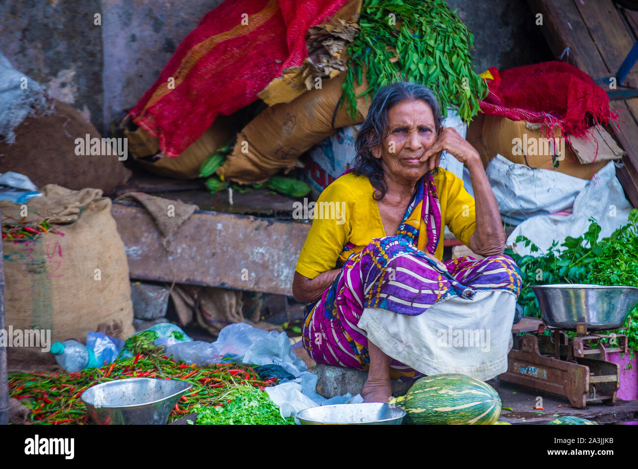Indian woman posing in sari hi-res stock photography and images - Alamy