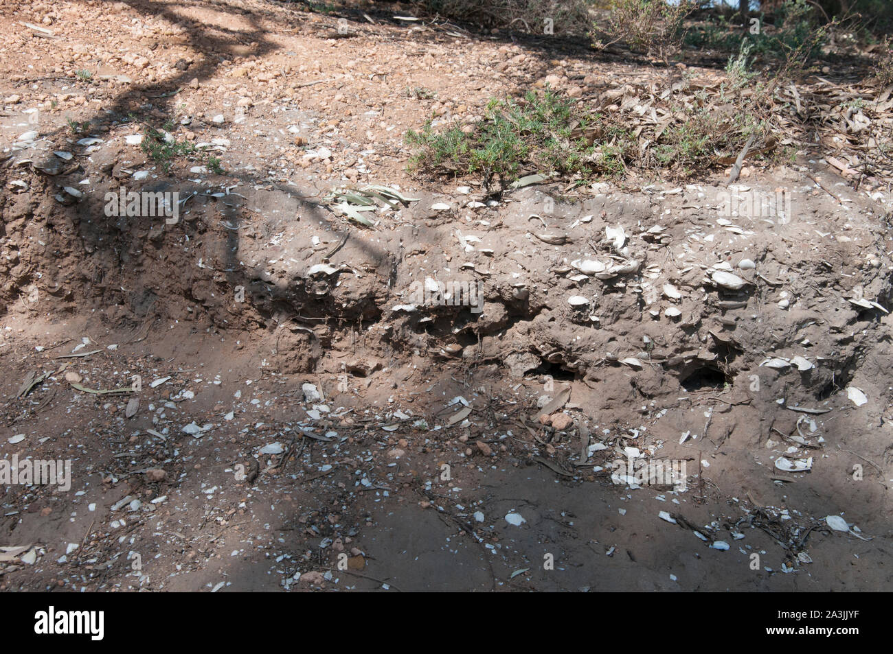 Midden hi-res stock photography and images - Alamy