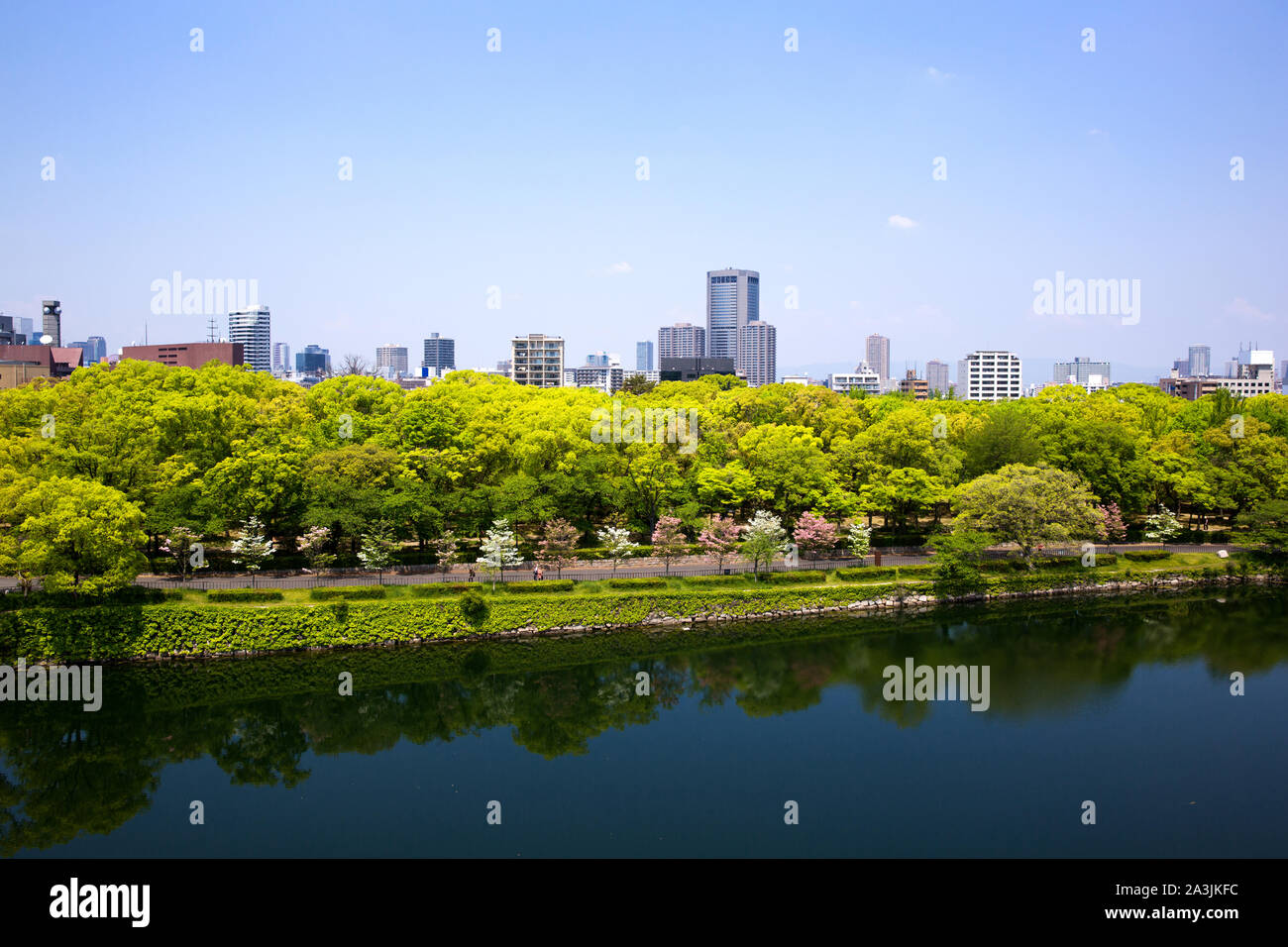 Osaka forest hi-res stock photography and images - Alamy