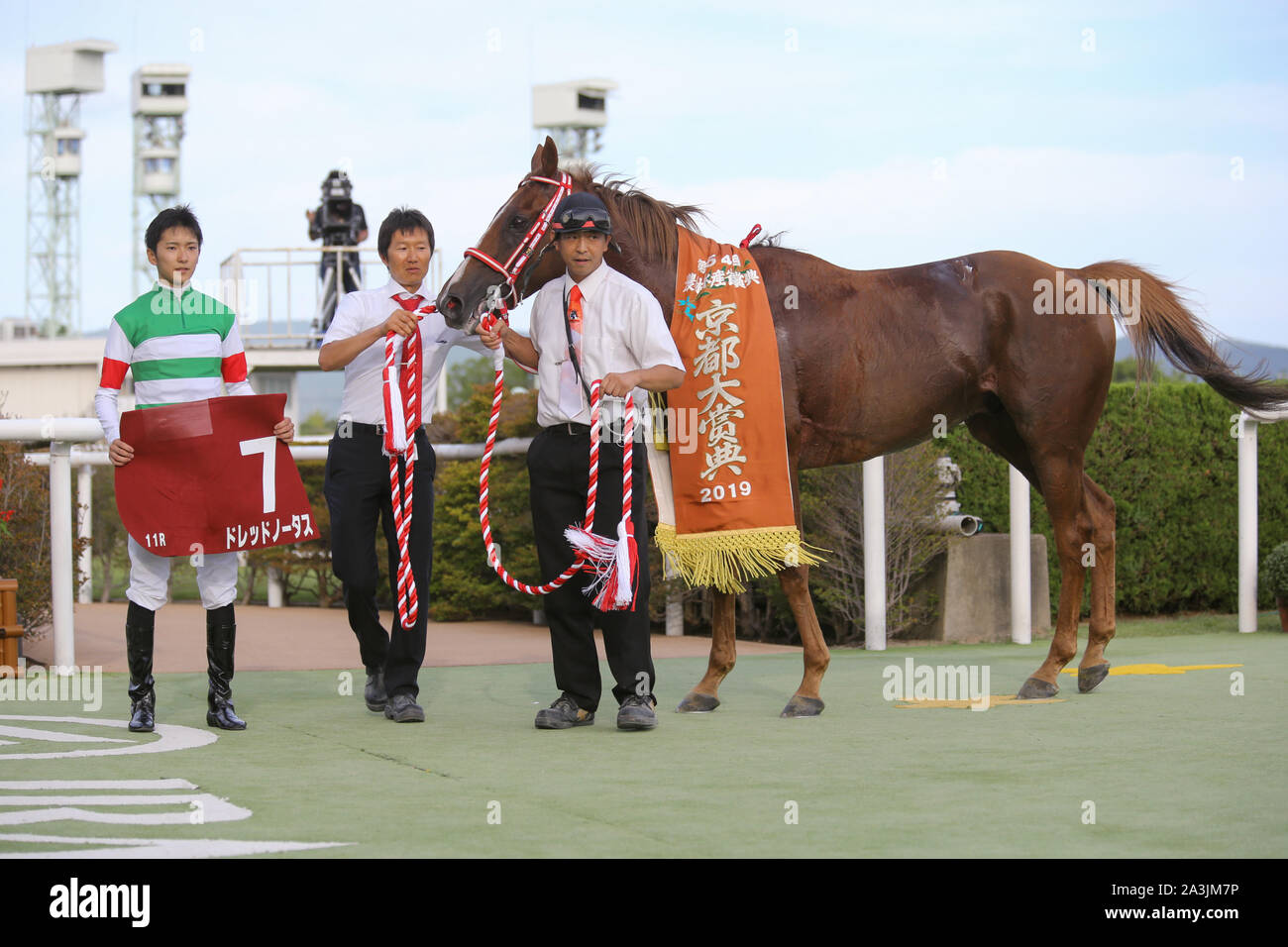 Kyoto, Japan. 6th Oct, 2019. Dreadnoughtus (Ryusei Sakai) Horse Racing ...
