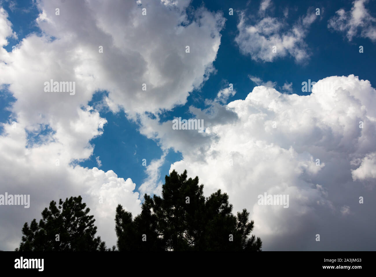Clouds and tree Stock Photo - Alamy