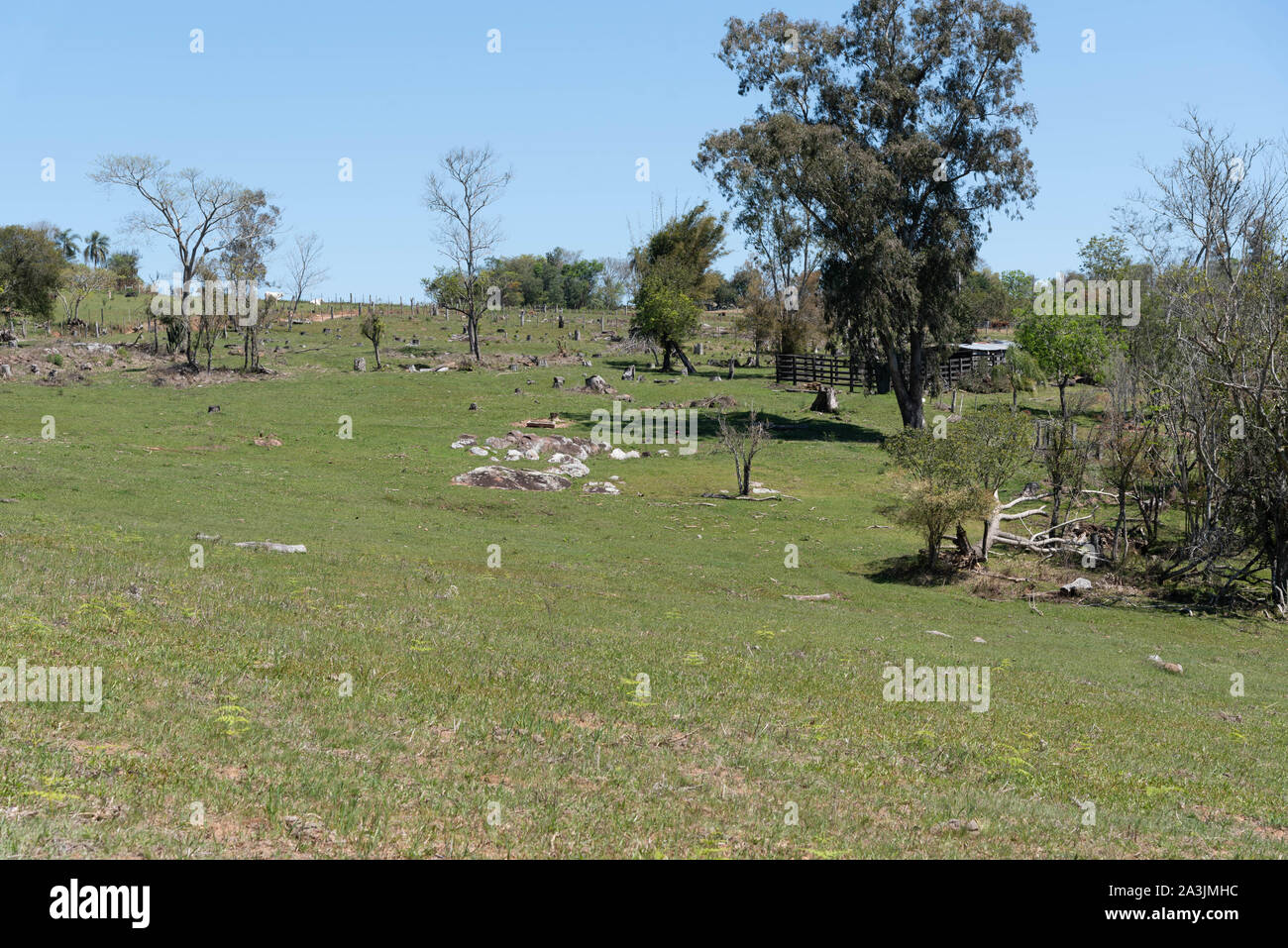 A rural landscape and the beauties of a small farm. Ecological tourism ...