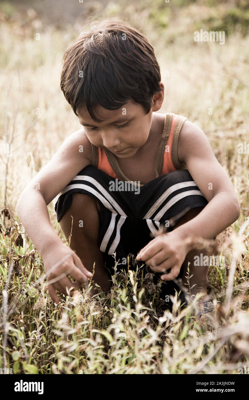 Farmer children playing in the field in Mexico Stock Photo - Alamy