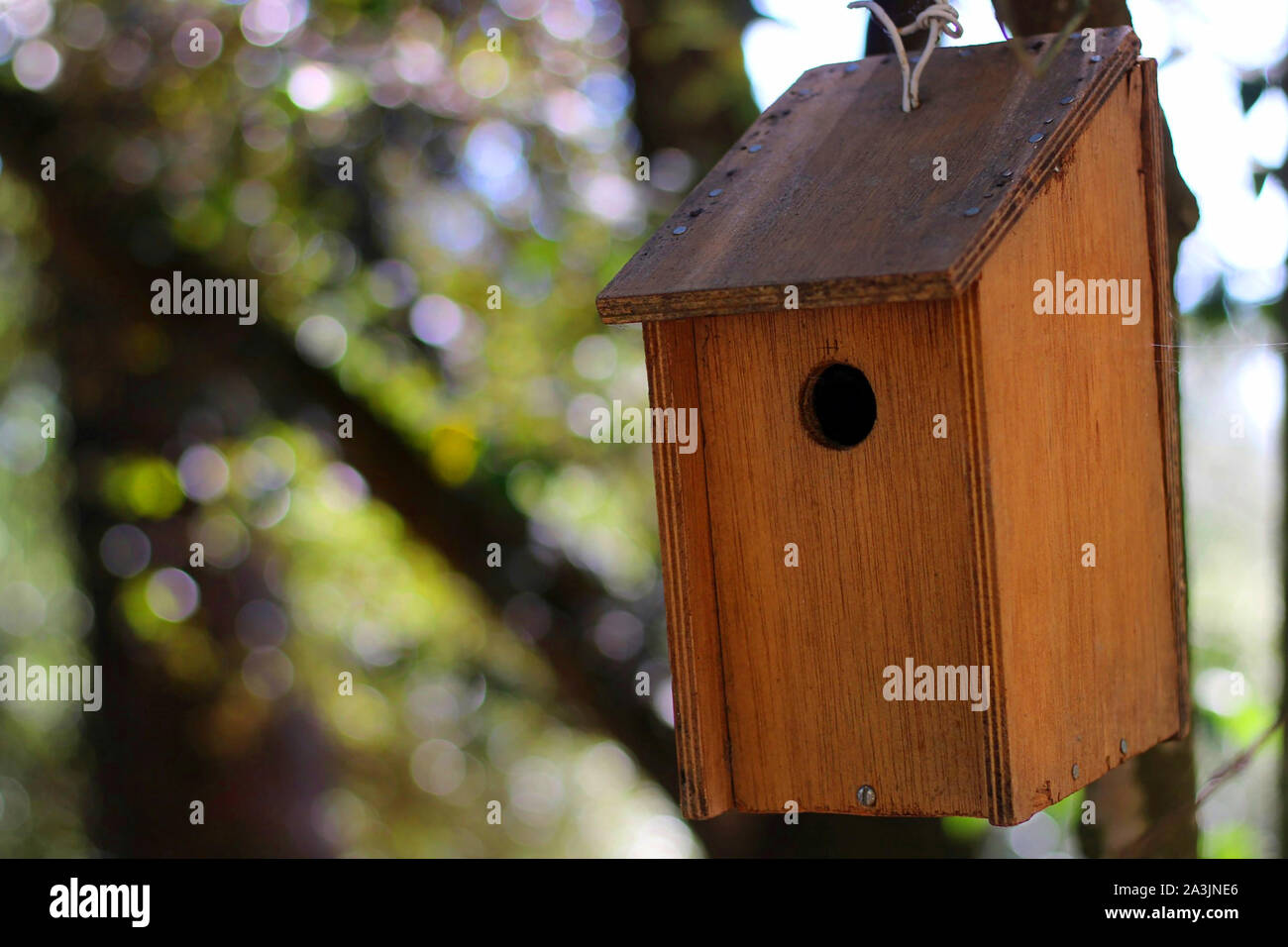 Wooden birdhouse hung in a tree in the middle of the forest. Concept of ...