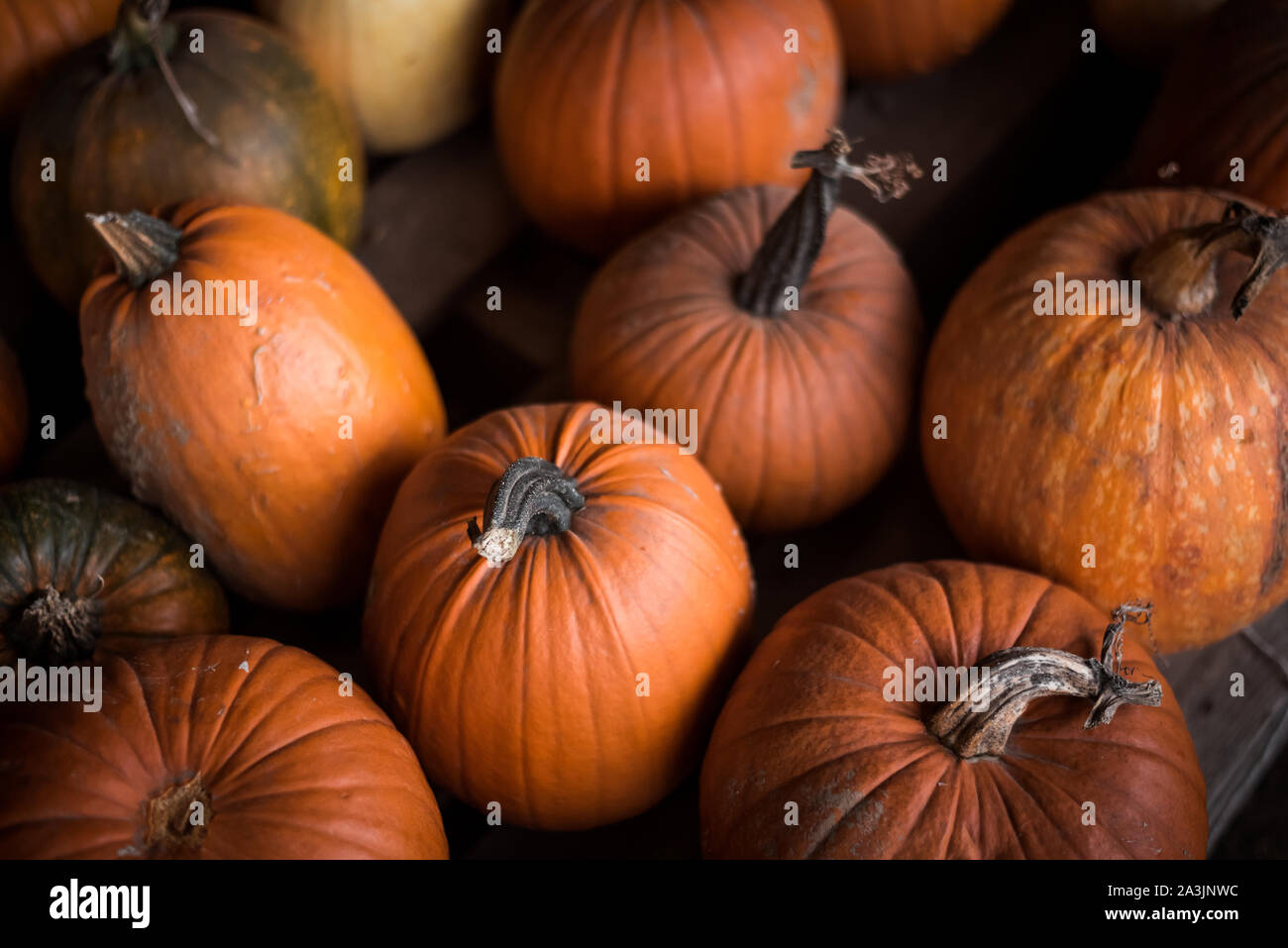 Assorted pumpkins hi-res stock photography and images - Alamy