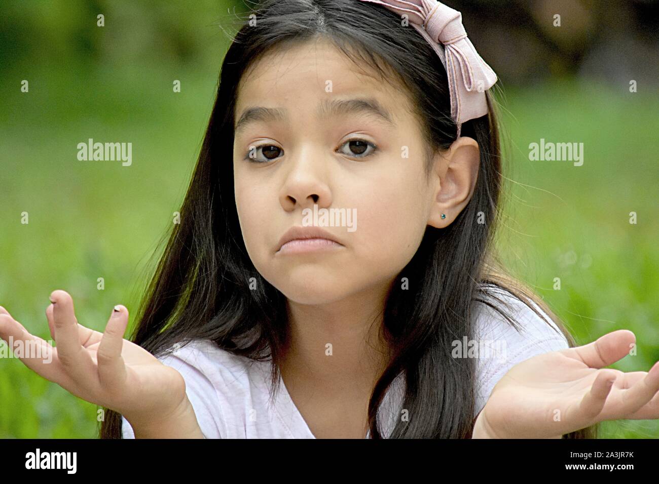 An Undecided Female Juvenile Stock Photo - Alamy