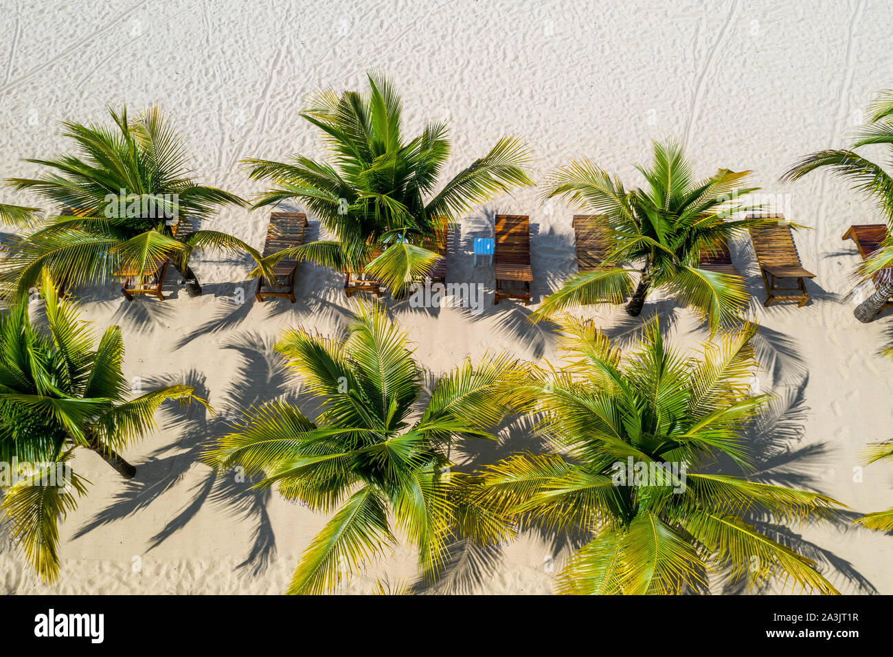 Aerial row coconut trees in hi-res stock photography and images - Alamy