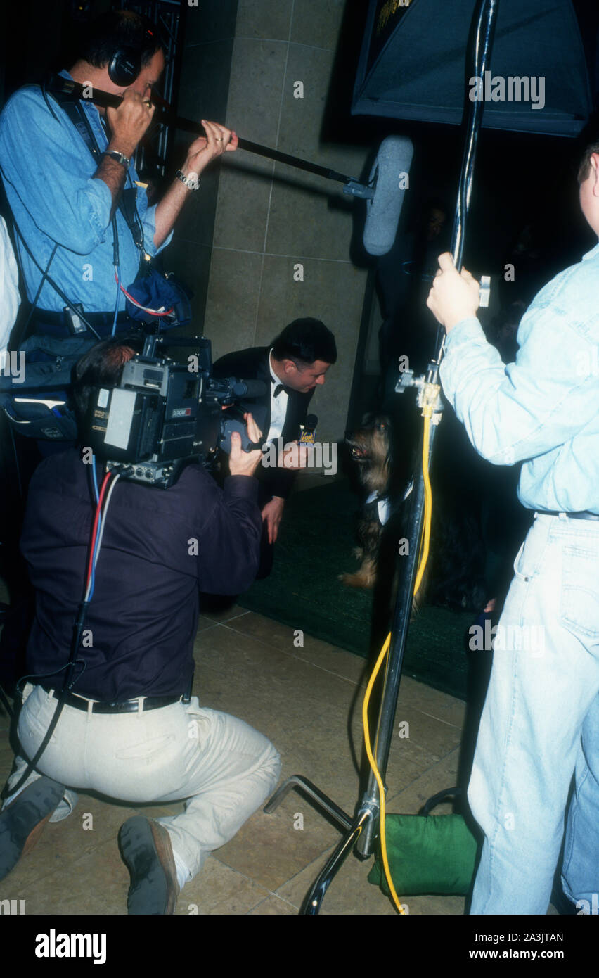 Los Angeles, California, USA 28th January 1995 Buck the Dog attends ...