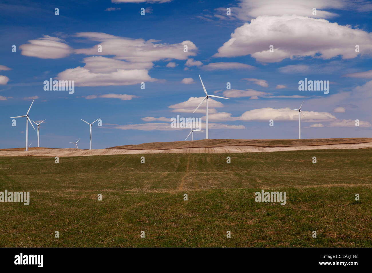 Wind farm, Eastern Alberta, Canada Stock Photo - Alamy
