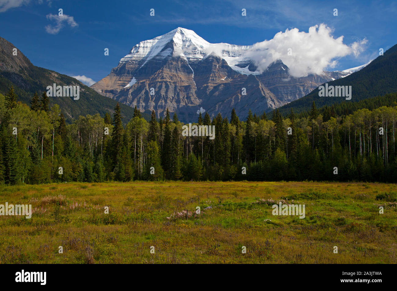 Mt robson provincial park hi-res stock photography and images - Alamy