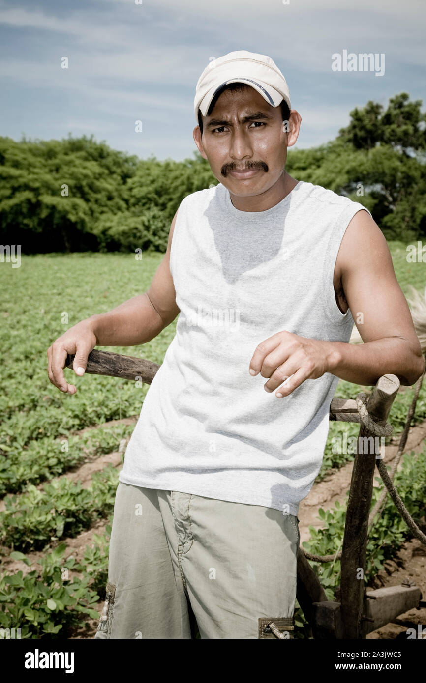 Portrait of male farmer working the field, with a strong look, work day ...