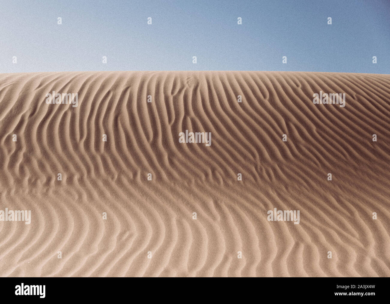 Ripples sand on a hill in the sand dunes neat Yuma, AZ Stock Photo - Alamy