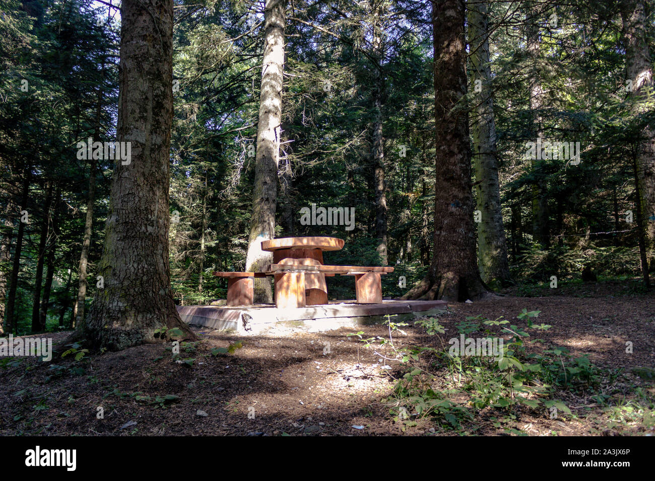 Picnic table in the forest Stock Photo - Alamy