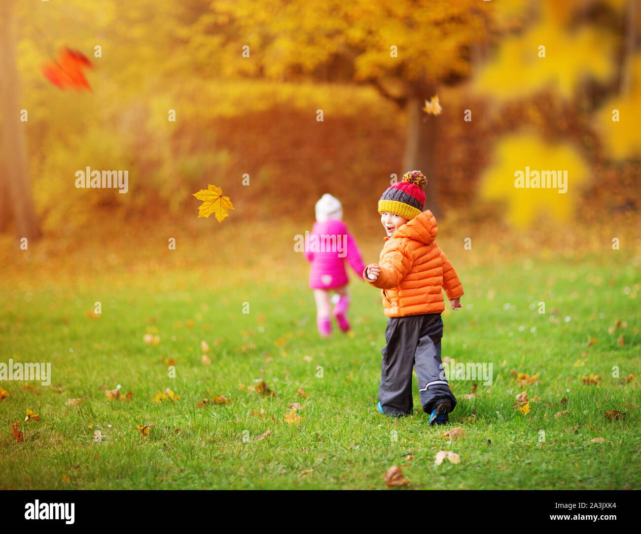 children throwing leaves in beautiful autumnal day Stock Photo - Alamy