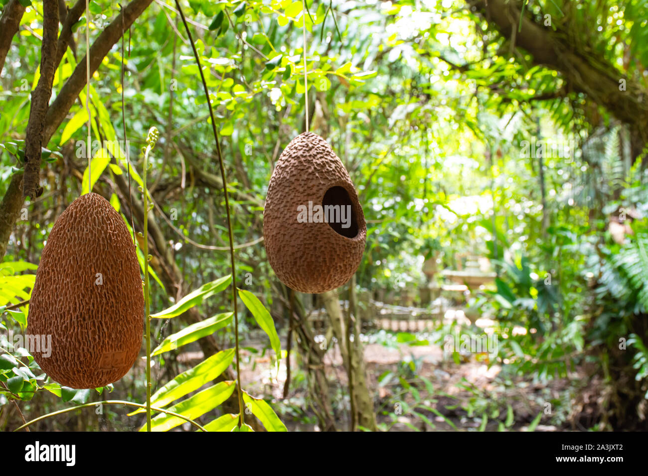 Clay bird houses hi-res stock photography and images - Alamy