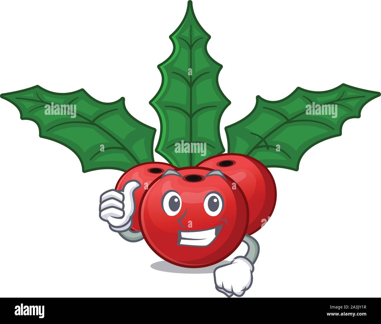 Thumbs up christmas holly berry isolated the mascot Stock Vector Image ...