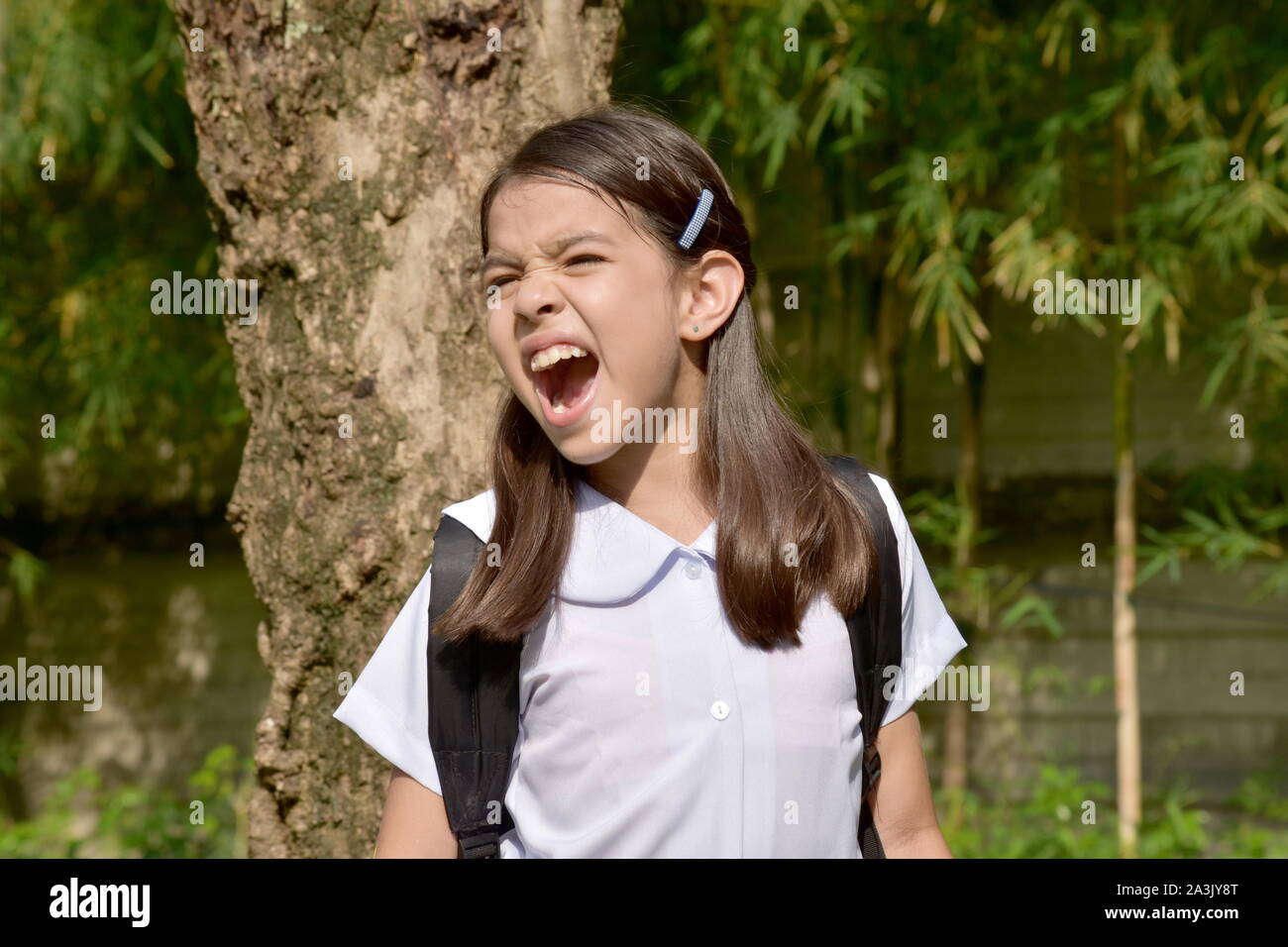 Angry asian girl books hi-res stock photography and images - Alamy