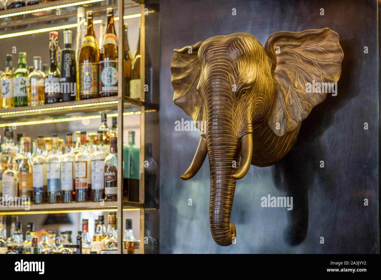 Elephant bar raffles hi-res stock photography and images - Alamy