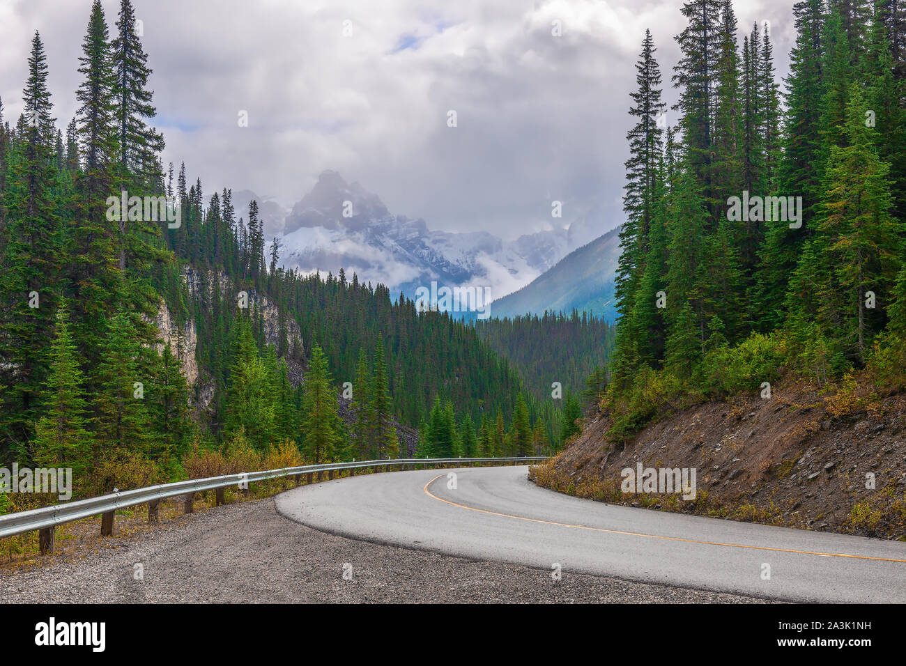 View of Mt Stephen from Yoho Valley road. Yoho National Park. British ...