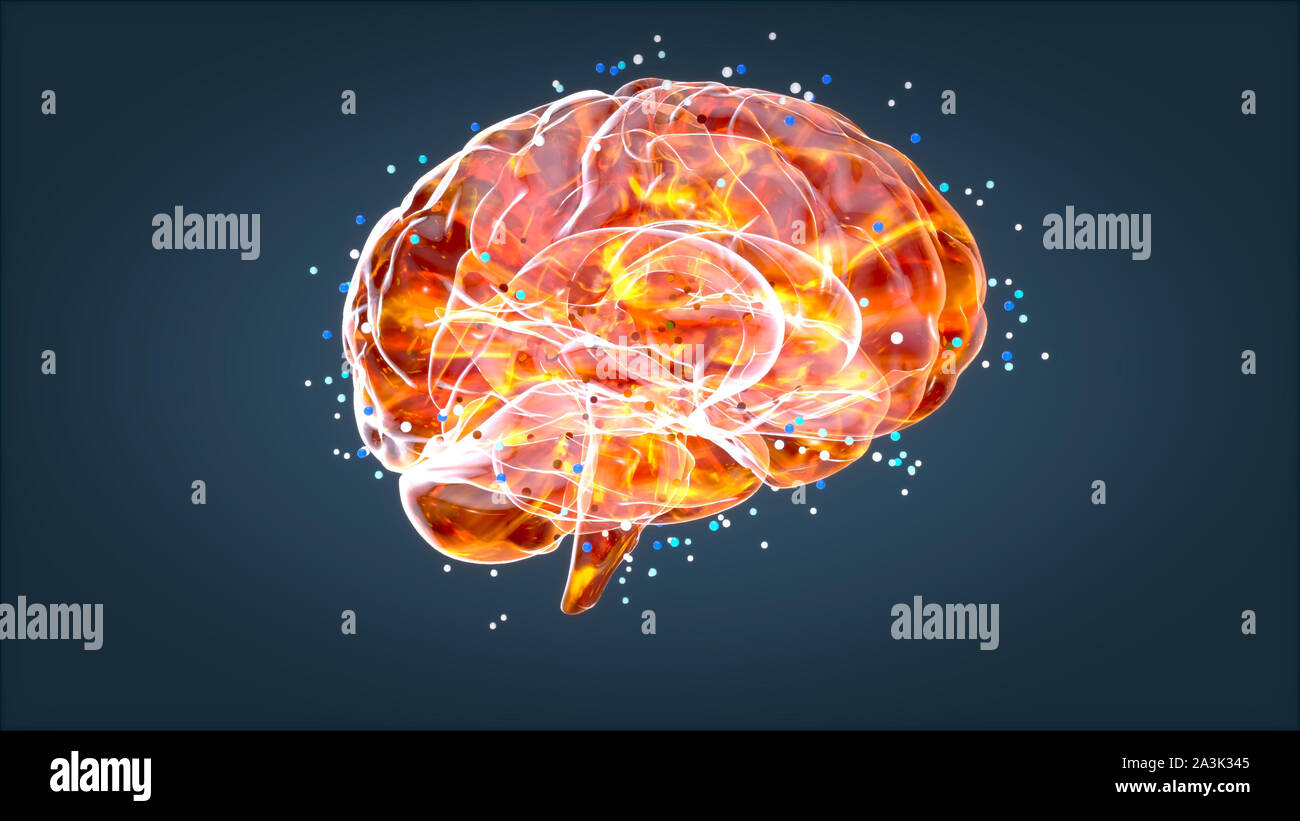 Brain xray, human anatomy, 3D Illustrated neurons Stock Photo - Alamy