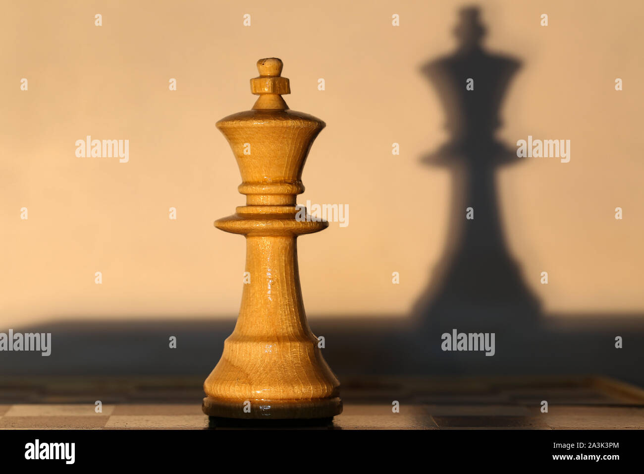 Chess piece - king and shadow from her Stock Photo - Alamy