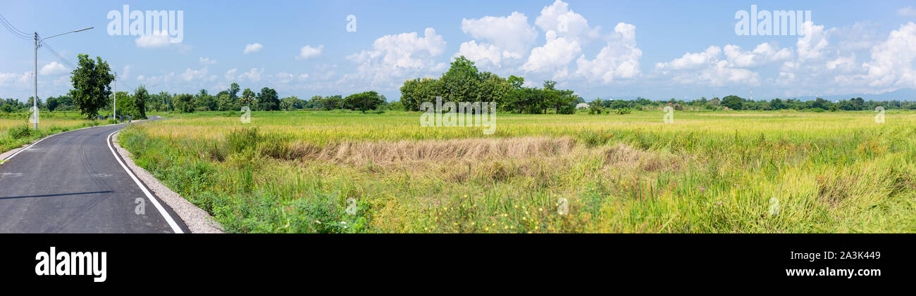 Country Road Side View American Country Road Side View Stock Photo
