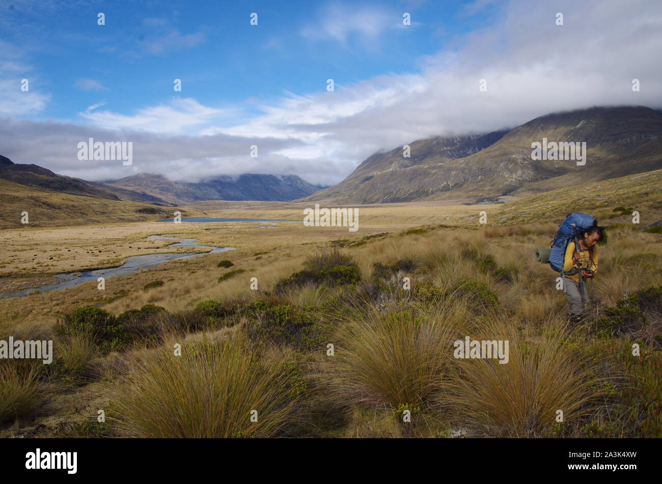 Te Araroa Trail. Greenstone Track. South Island. New Zealand Stock ...