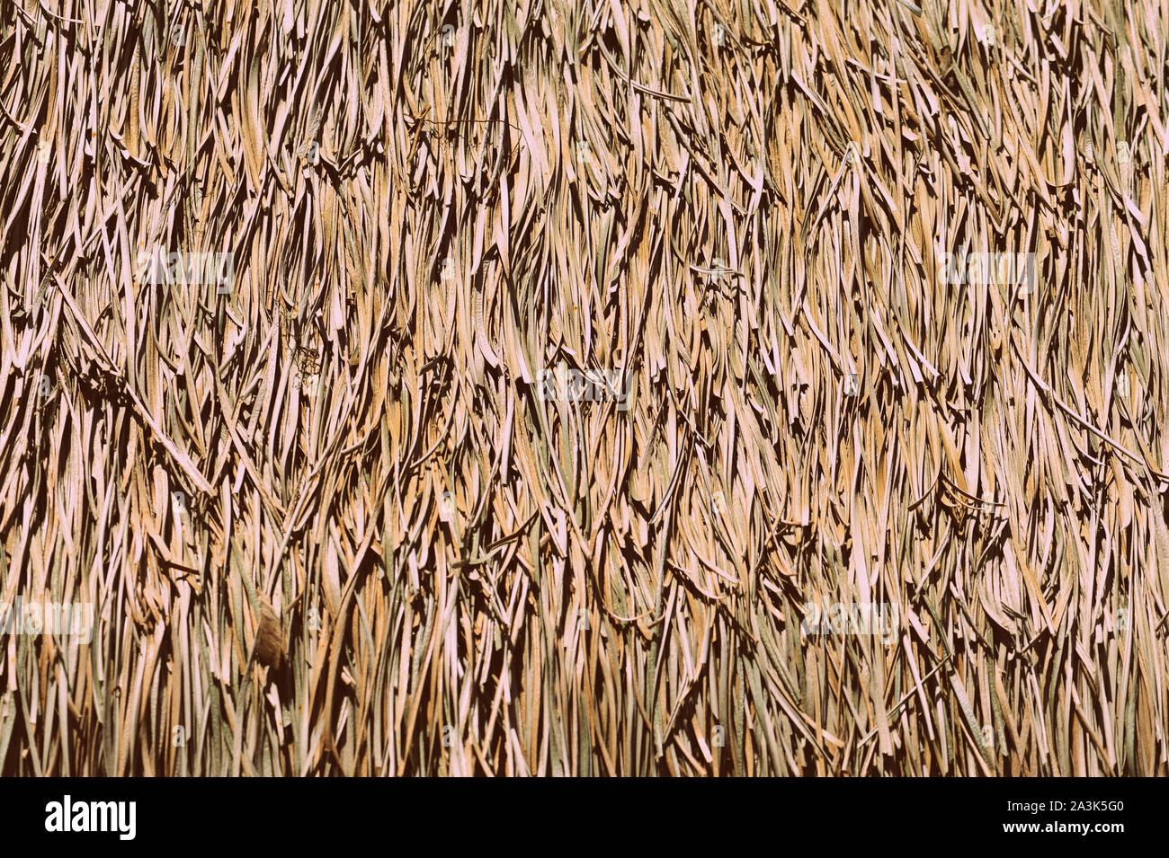 Palm leaf roof hi-res stock photography and images - Alamy