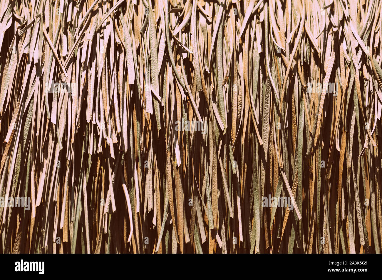 Palm roof texture close up. Tropical background Stock Photo - Alamy