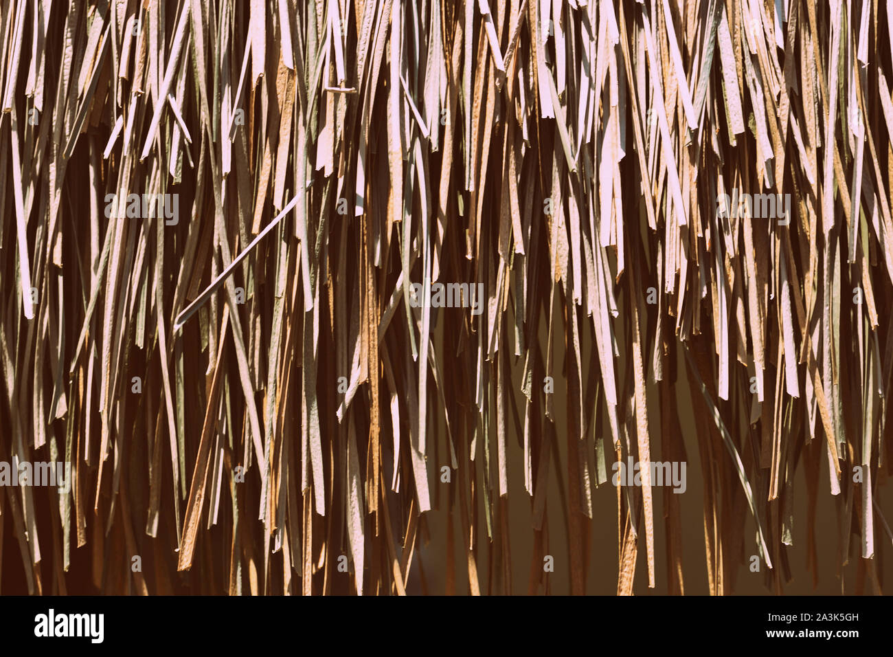 Palm roof texture close up. Tropical background Stock Photo - Alamy