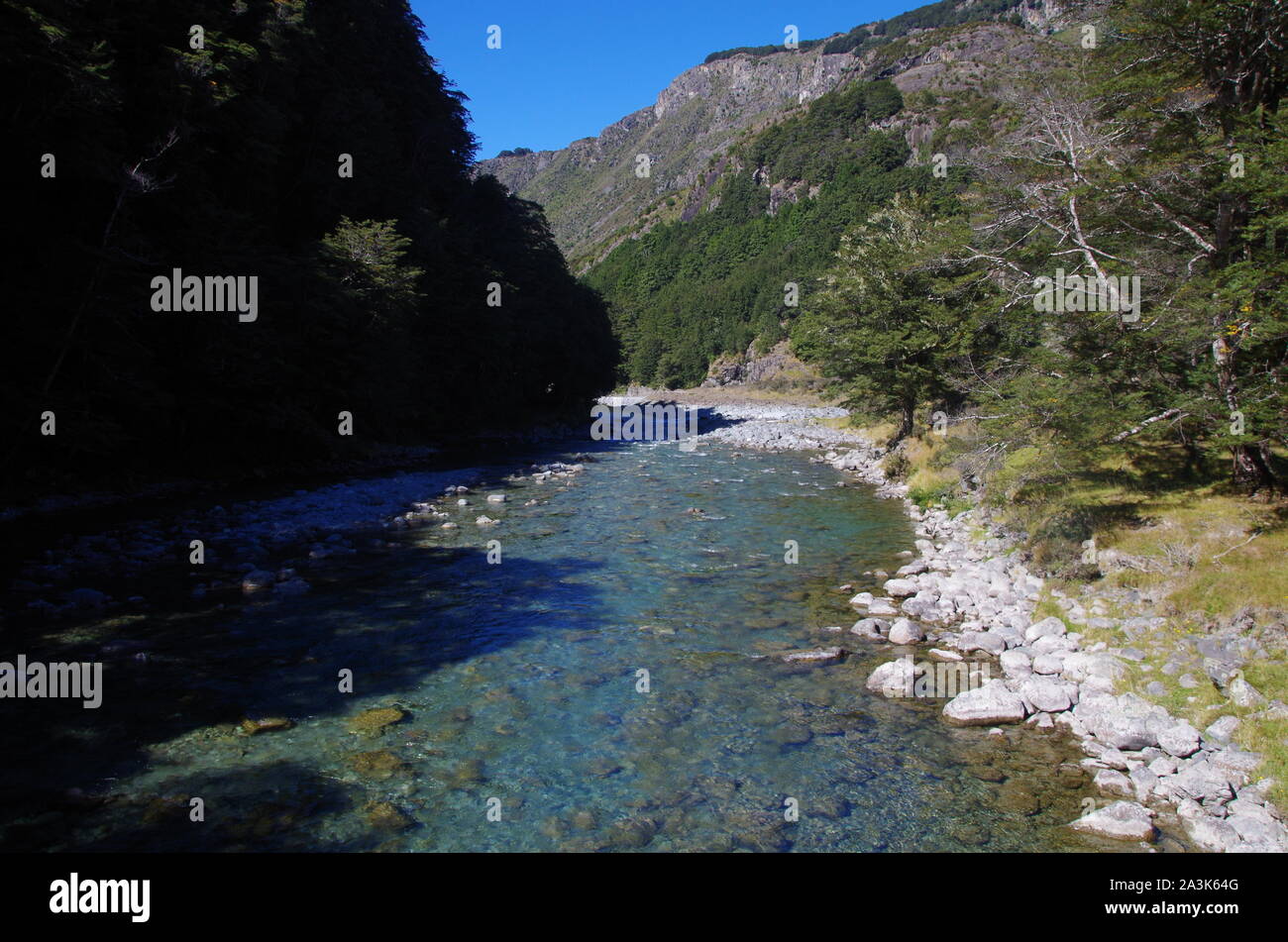 Te Araroa Trail. Greenstone Track. South Island. New Zealand Stock ...
