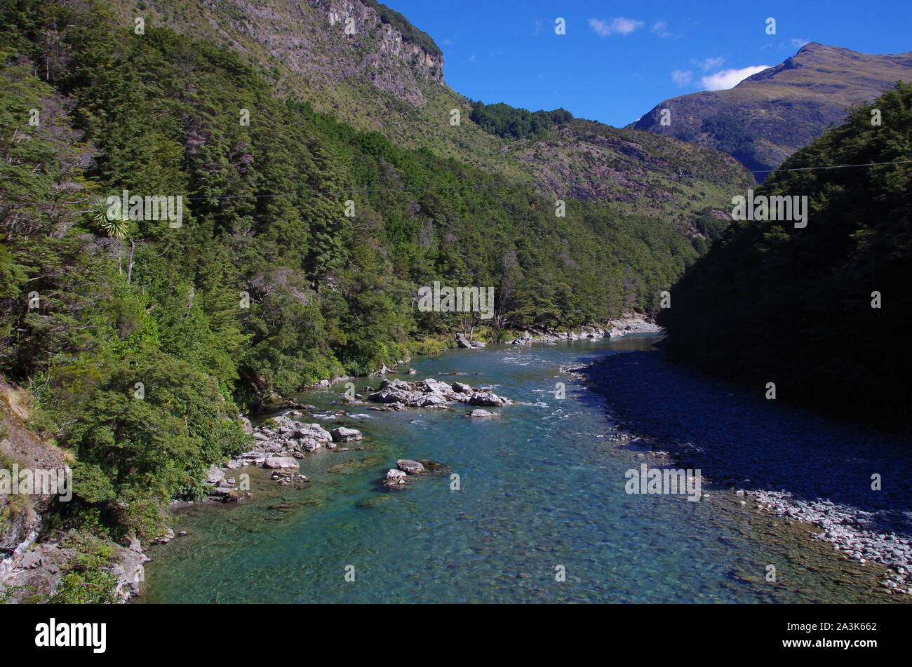 Te Araroa Trail. Greenstone Track. South Island. New Zealand Stock ...