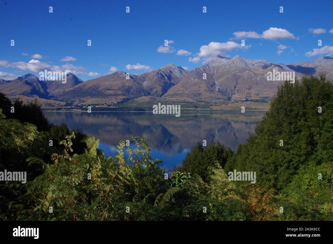 Te Araroa Trail. Greenstone Track. South Island. New Zealand Stock ...