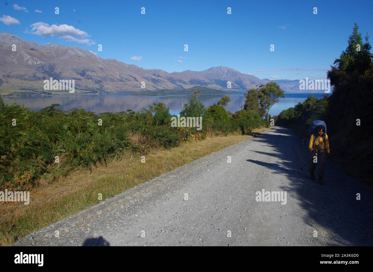 Te Araroa Trail. Greenstone Track. South Island. New Zealand Stock ...