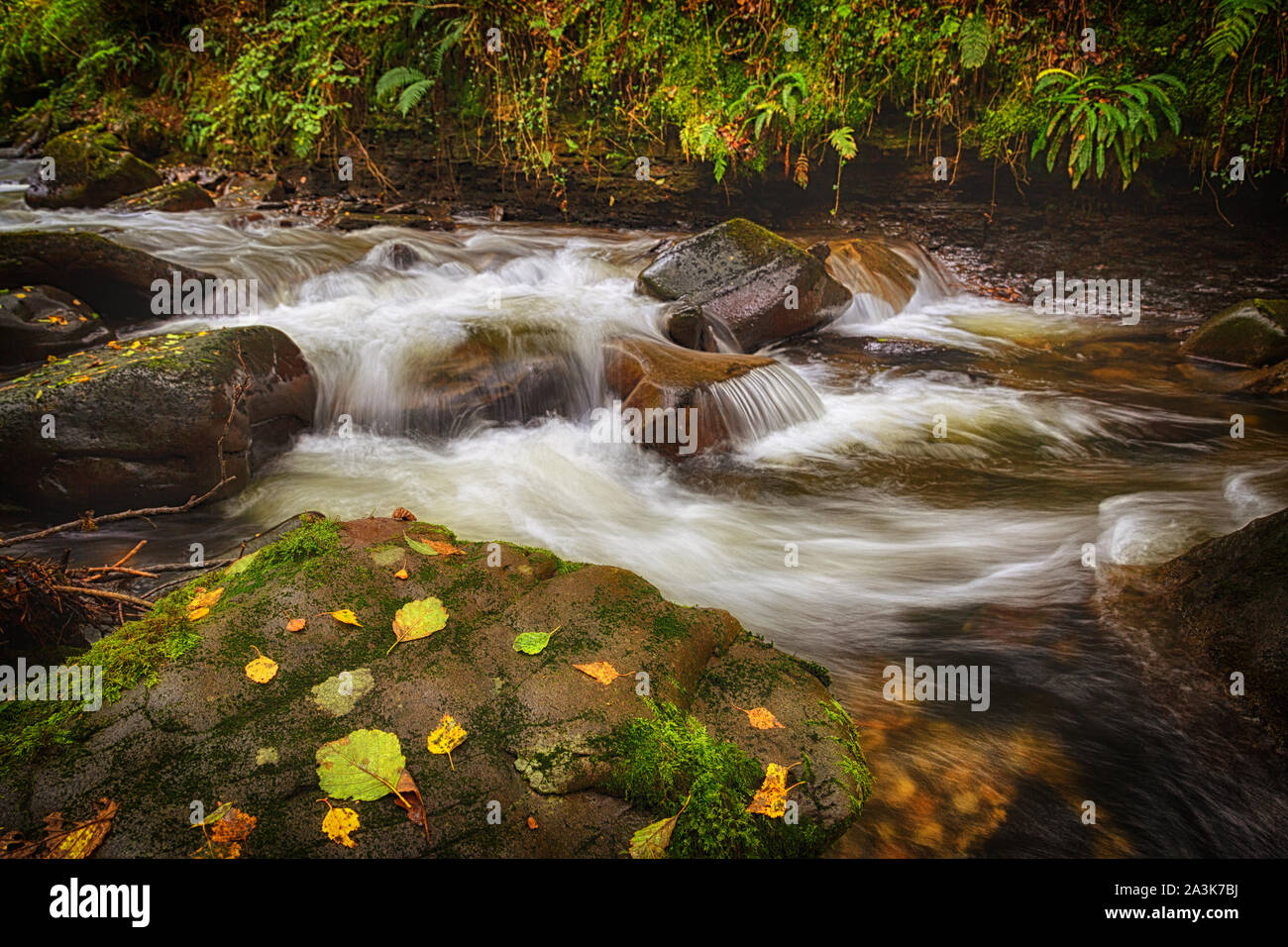 Autumn at Melincourt Brook Stock Photo - Alamy