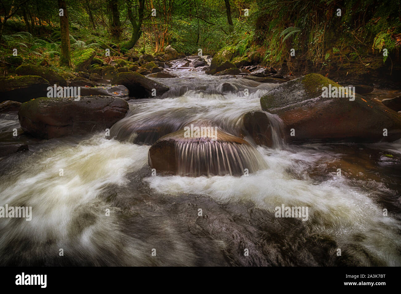Melincourt hi-res stock photography and images - Alamy